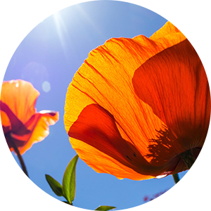 2022 Trademark Administrators & Practitioners (TMAP) Meeting ...